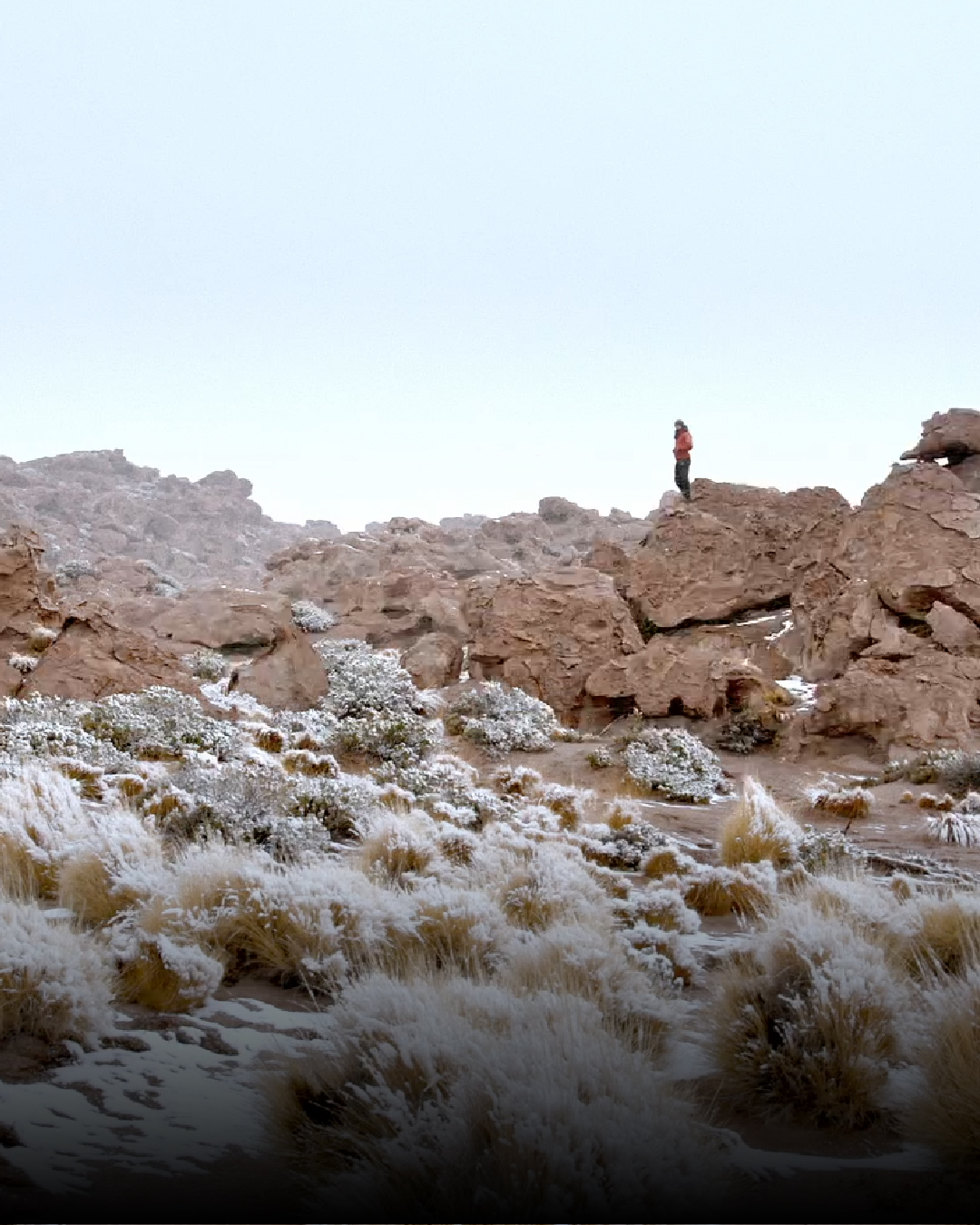 Luminoso espacio salvaje | CRFIC